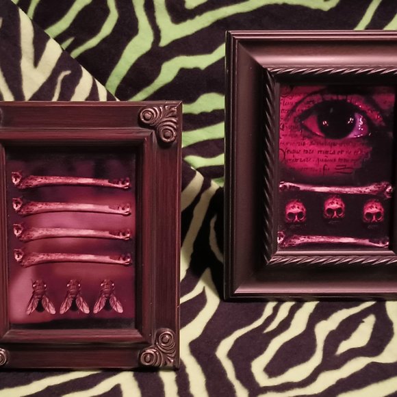 Wall Decor | Flies Bones Eye And Skull Ornate Distressed Framed Canvas ...